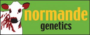 an historical breed – Normande Genetics