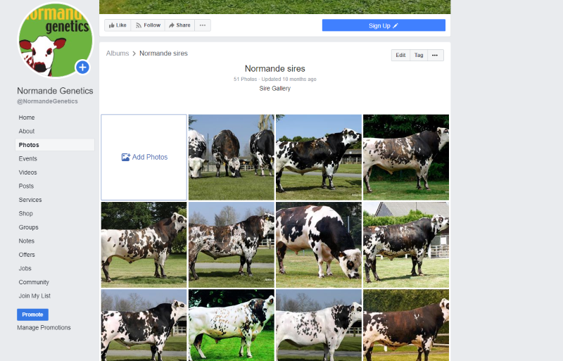 sire catalog – Normande Genetics